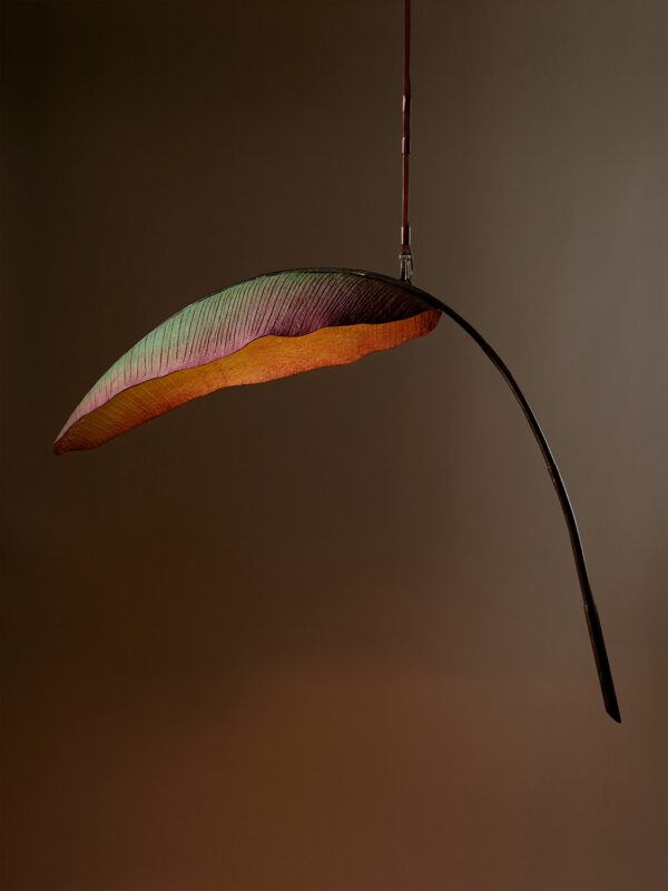 PELLE — Lighting